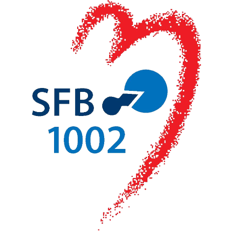 Biobank | Studien - Transkatheter-Aortenklappen-Implantation | UMG